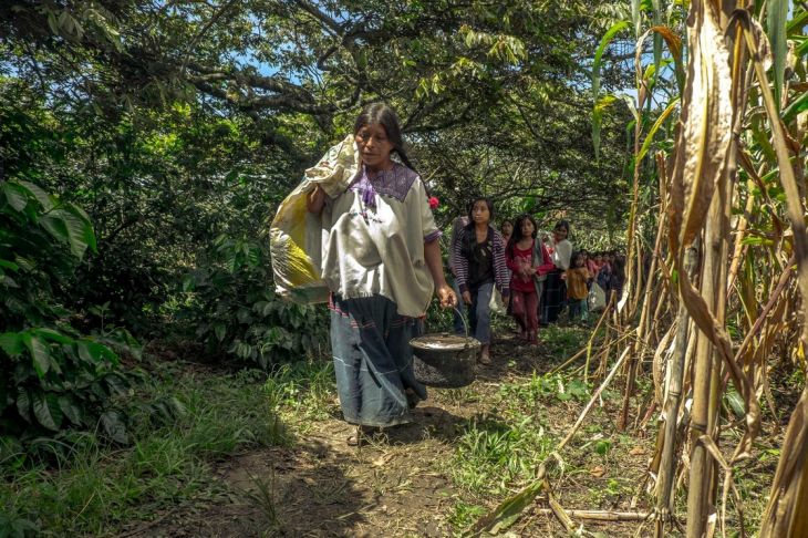 La Jornada Maya | Nacional | La Jornada Maya | Denuncian detención ... La Jornada Maya | Nacional | La Jornada Maya | Denuncian detención ...