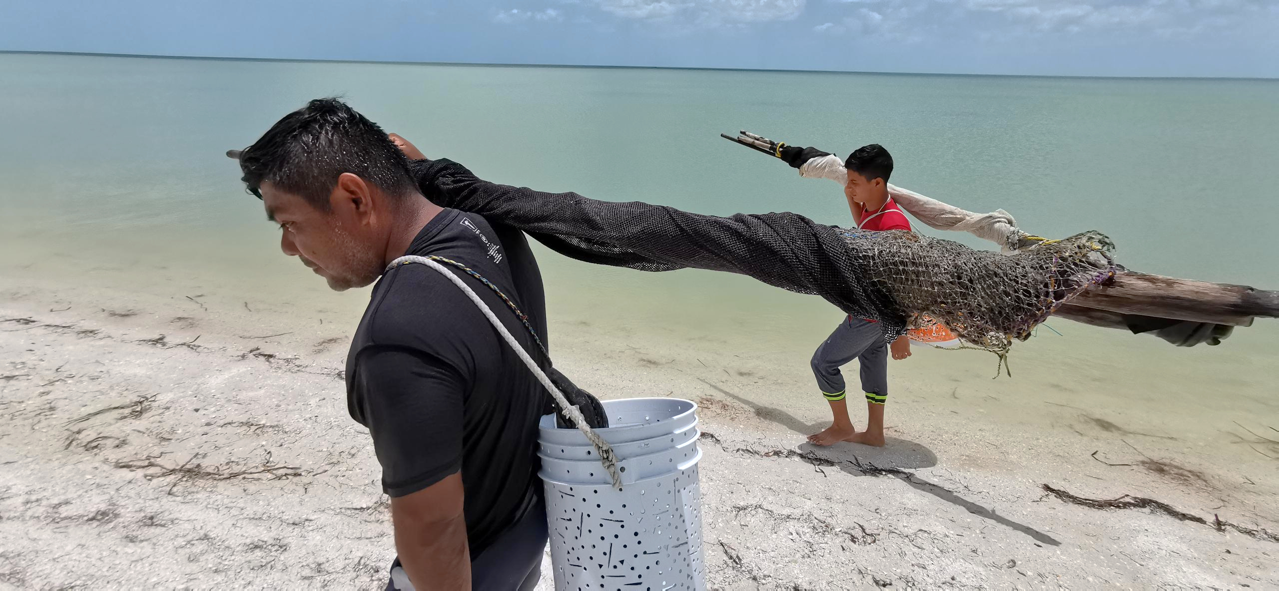 La Jornada Maya | Campeche | Jairo Magaña | Camarón pariseño ...