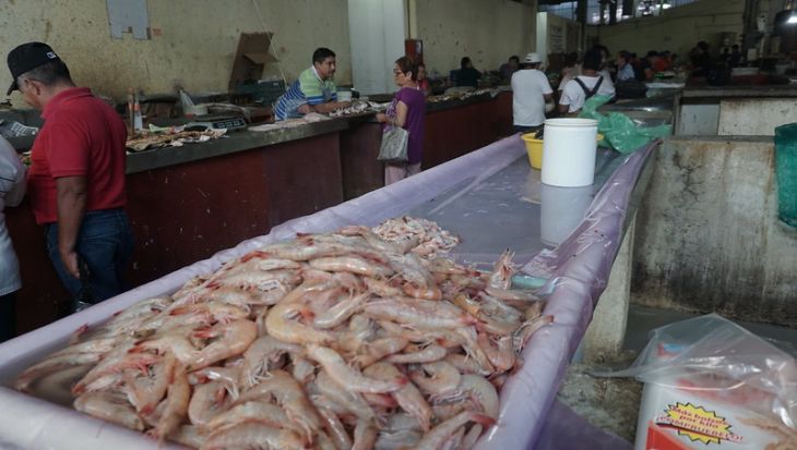 La Jornada Maya | Campeche | Jairo Magaña | Campeche: Pescadores de ...