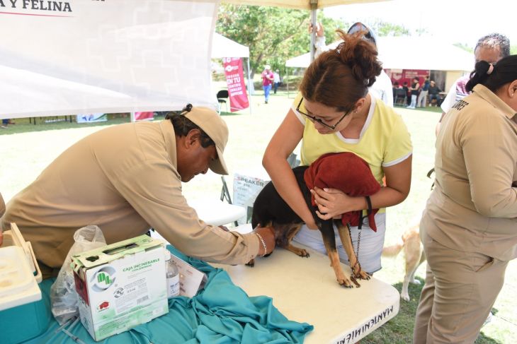 La Jornada Maya | Campeche | La Jornada Maya | Campeche: Aplican 91 mil ...