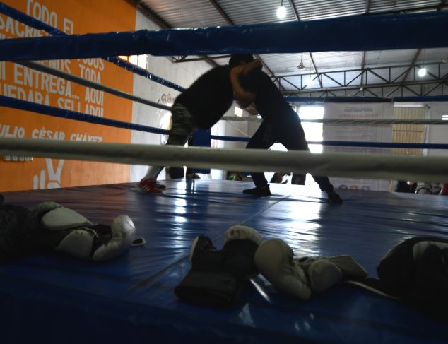 La Jornada Maya | Campeche | Jairo Magaña | En Campeche hay fanáticos ...