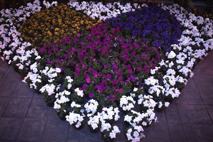 La Jornada Maya | Yucatán | La Jornada Maya | Inauguran Camino de las ...