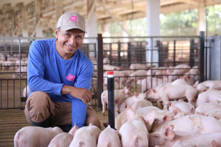 La Jornada Maya | Yucatán | María Briceño | Granjas porcícolas de ...