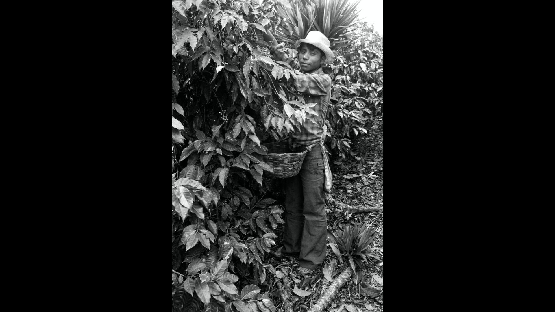 La Jornada Maya | Yucatán | Octavio Olvera | Falta de recursos y ...