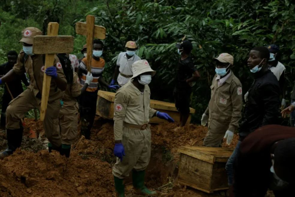 La Jornada Maya | Rafael Robles de Benito | Duele Celestún