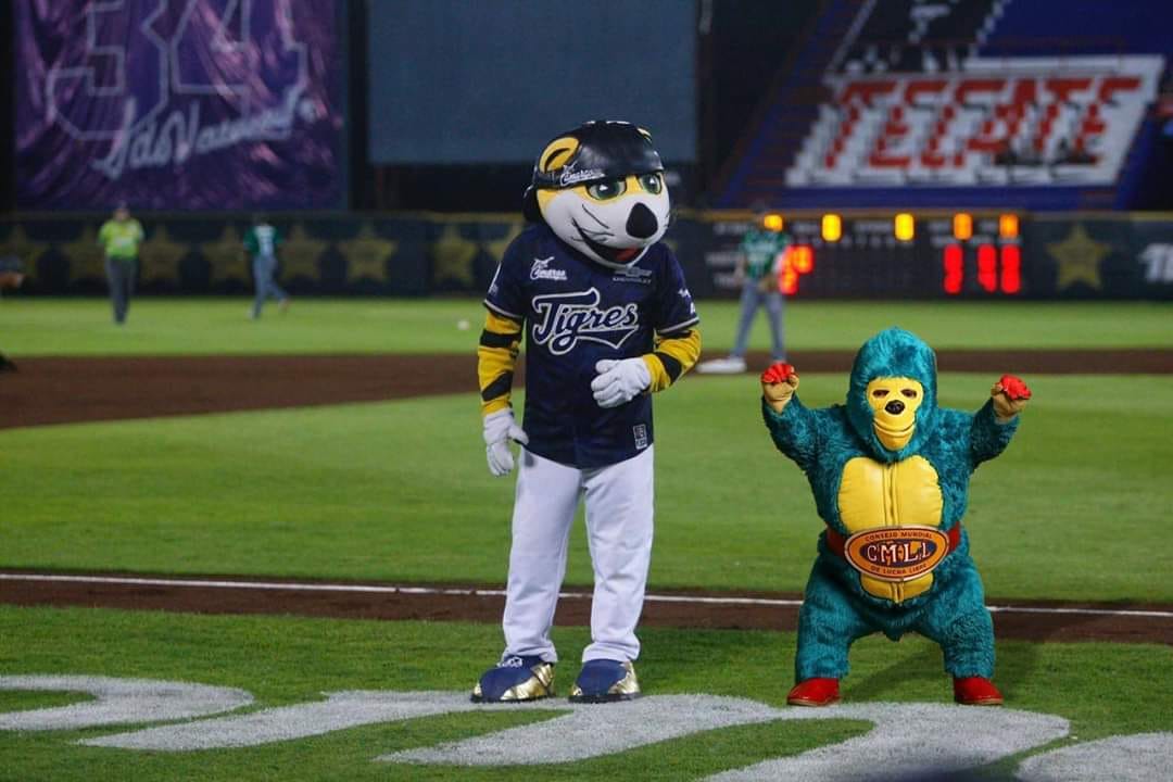 La Jornada Maya | Quintana Roo | La Jornada Maya | Chacho, de Tigres de ...