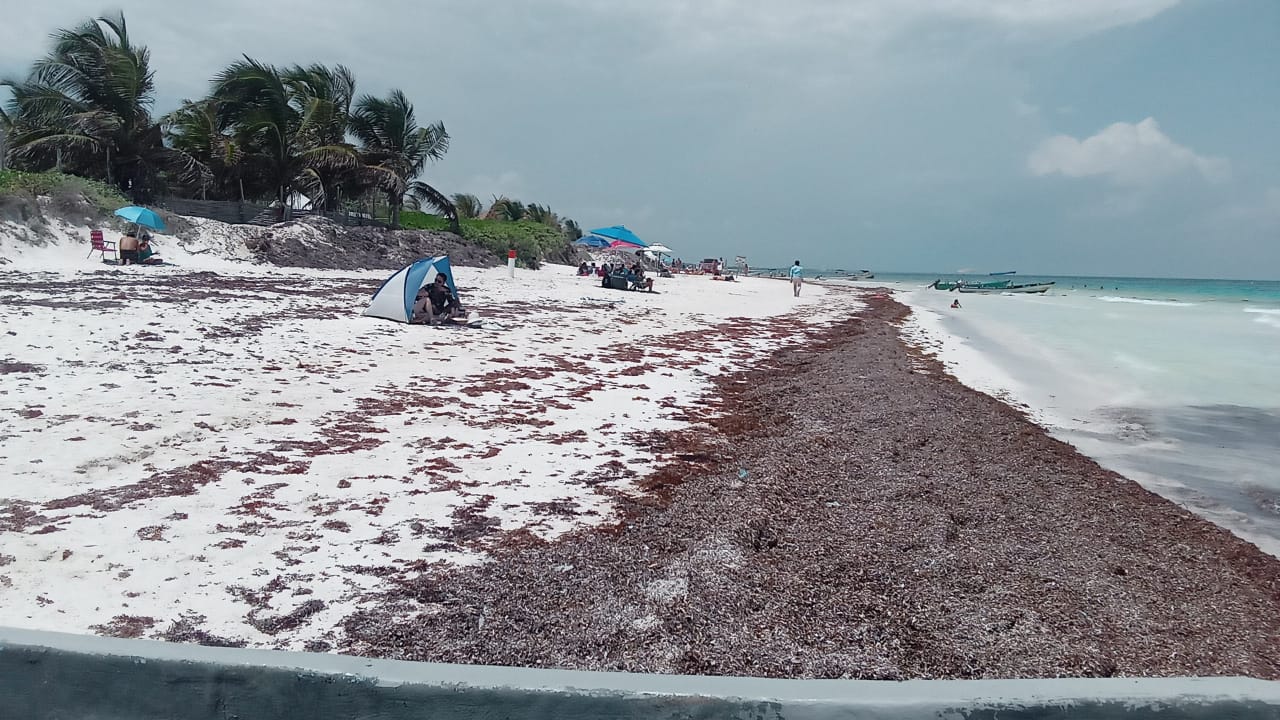 La Jornada Maya | Quintana Roo | Miguel Améndola | Empeora el arribo ...