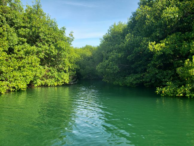 La Jornada Maya | Quintana Roo | La Jornada Maya | Nichupté: la joya de ...