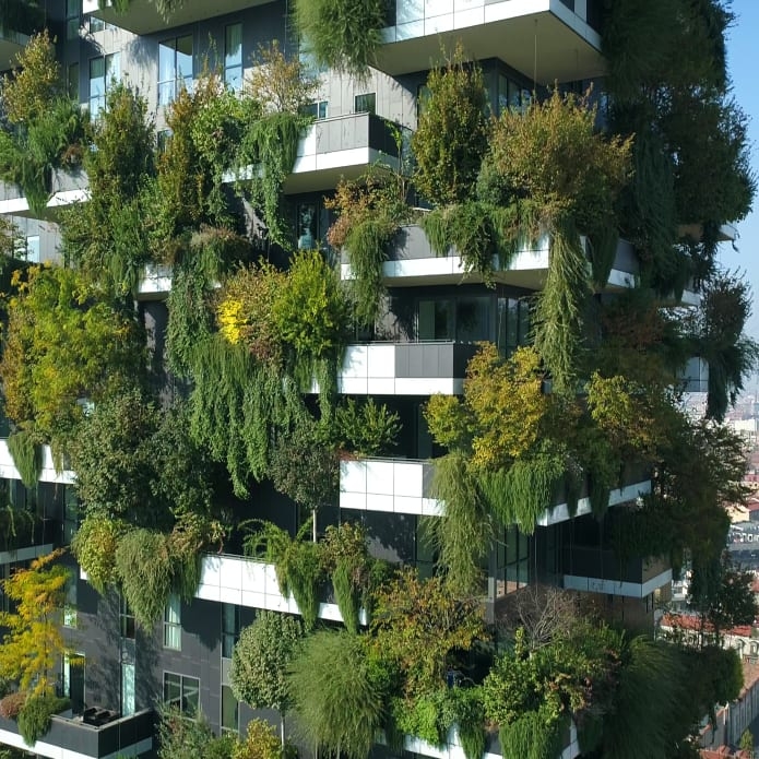 La Jornada Maya | Quintana Roo | La Jornada Maya | Buscan dónde ...