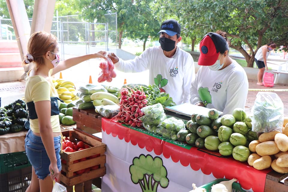 La Jornada Maya | Campeche | Jairo Magaña | Rebasa los 25 mil ...
