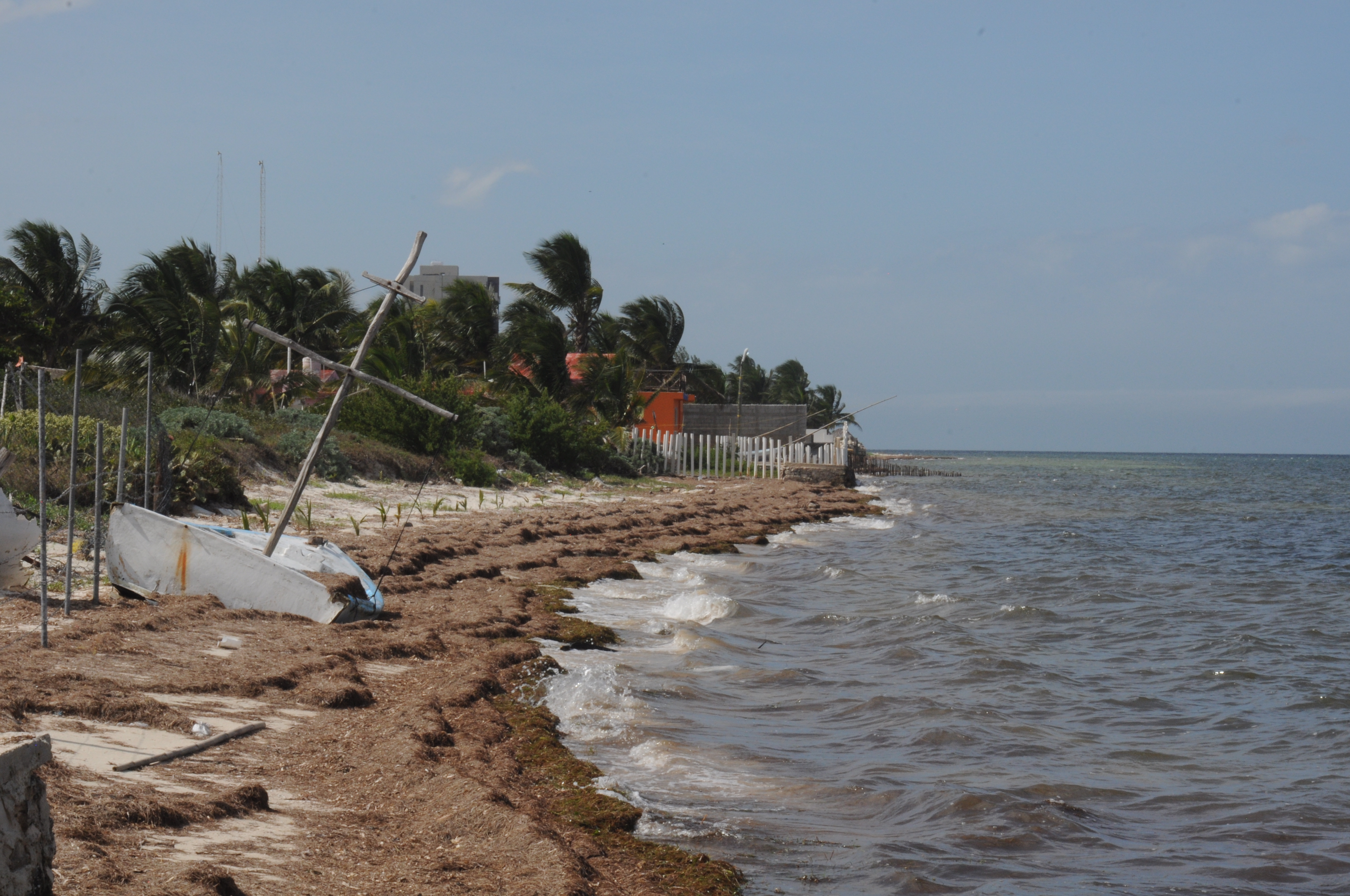 La Jornada Maya | Rafael Robles de Benito | Un día en la playa